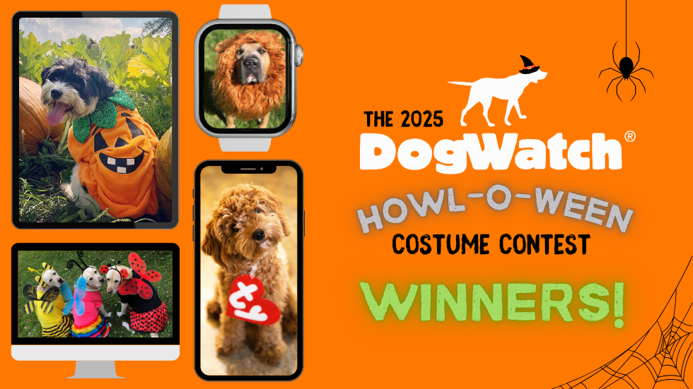 Here are the Winners of the 2025 DogWatch® Howl-O-Ween Costume Contest ...